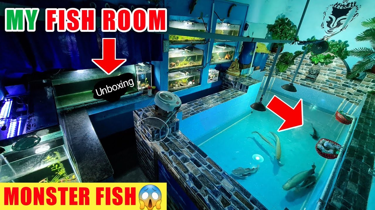 MY FISH ROOM TOUR *NEW* |MONSTER FISH UNBOXING PREDATOR TANK POND ...