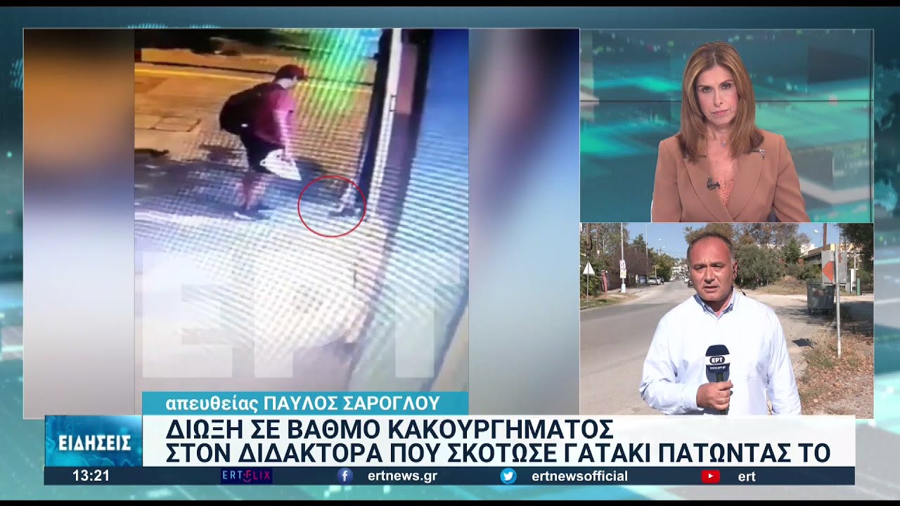 Ποινική δίωξη για κακούργημα στον διδάκτορα που ποδοπάτησε γατάκι | 30 ...