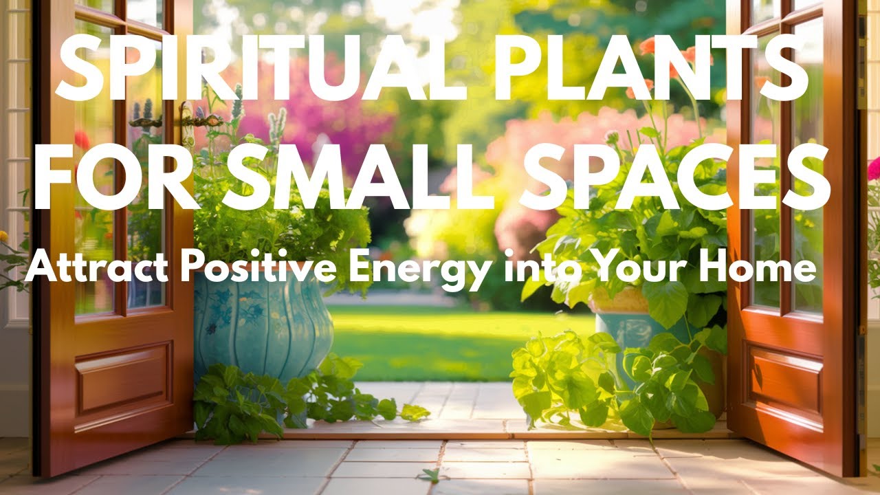 Best Spiritual Plants for Small Indoor and Outdoor Spaces - YouTube
