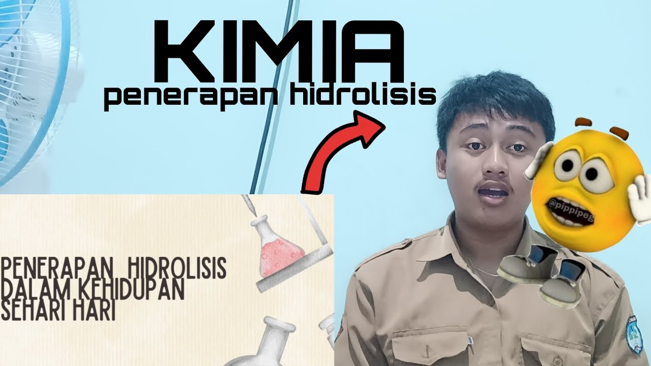 TUGA SUMATF - KIMIA - PENERAPAN HIDROLISIS DALAM KEHIDUPAN SEHARI HARI ...