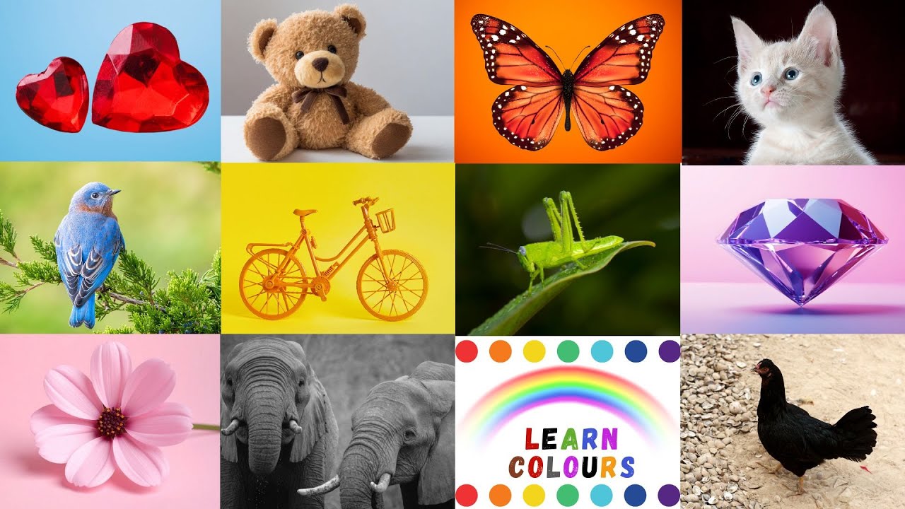 We Love all the Colors!| Color Song Rhyme | Red Red Strawberries ...