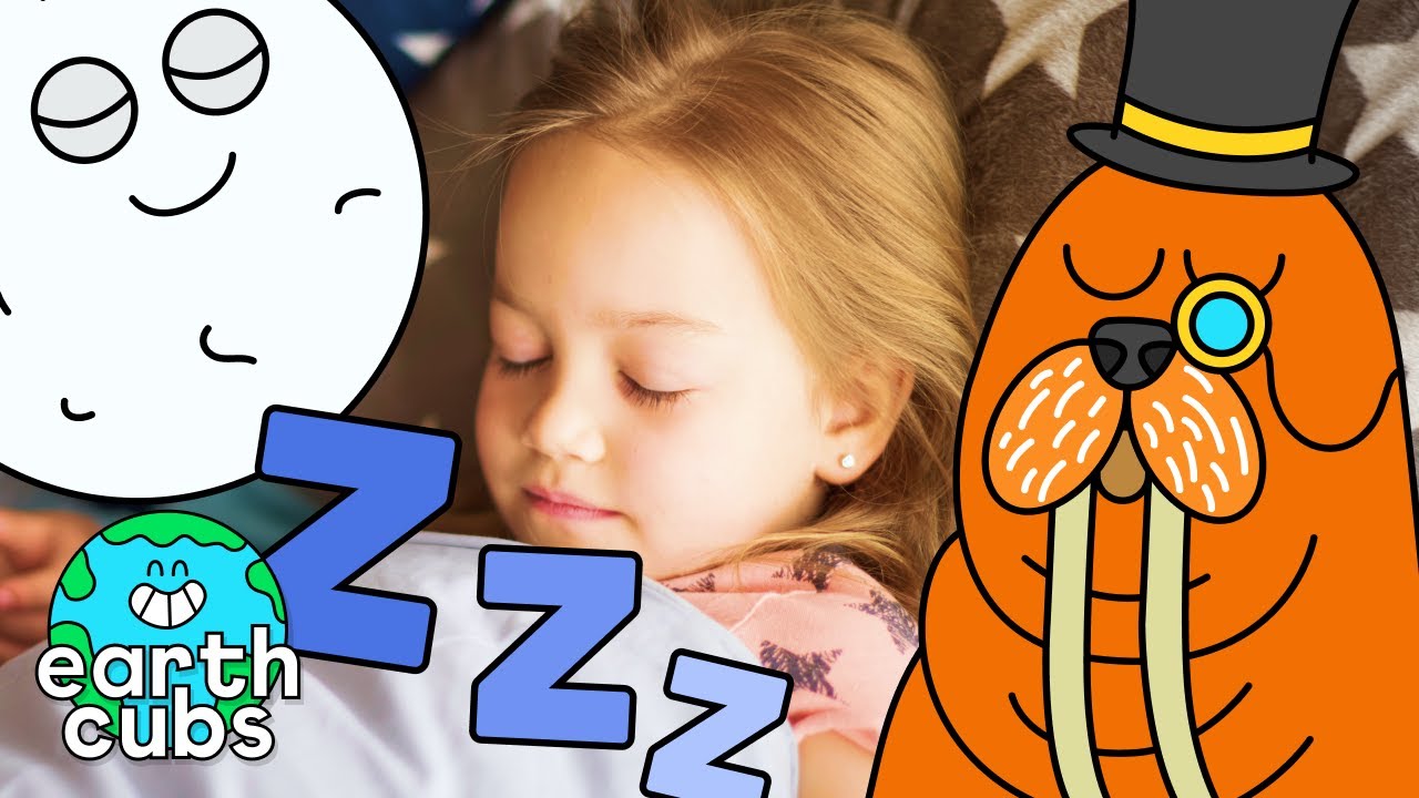 Super Sleep 😴 | Snuggle into dreamland! - YouTube