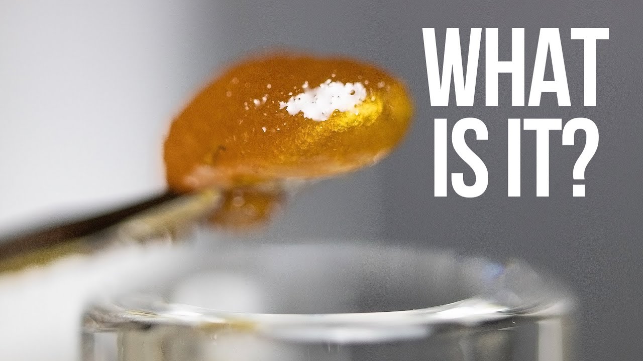 The Highest Yielding Dab Extraction Weed Strain - YouTube