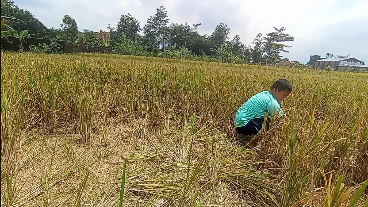 #46||KOMEDI BOCAH NGAPAK(lagi ngising😀) - YouTube