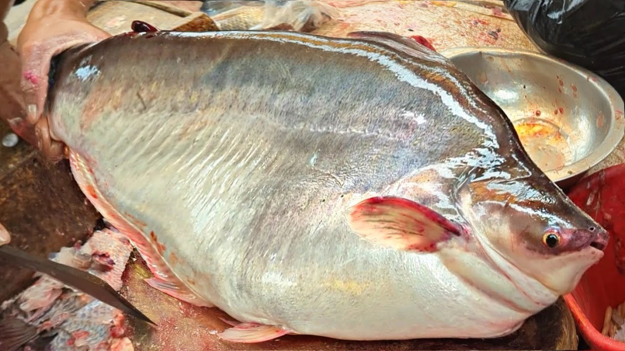 Amazing! Attractive Best Big Pangas Fish Cutting Skills Market In ...