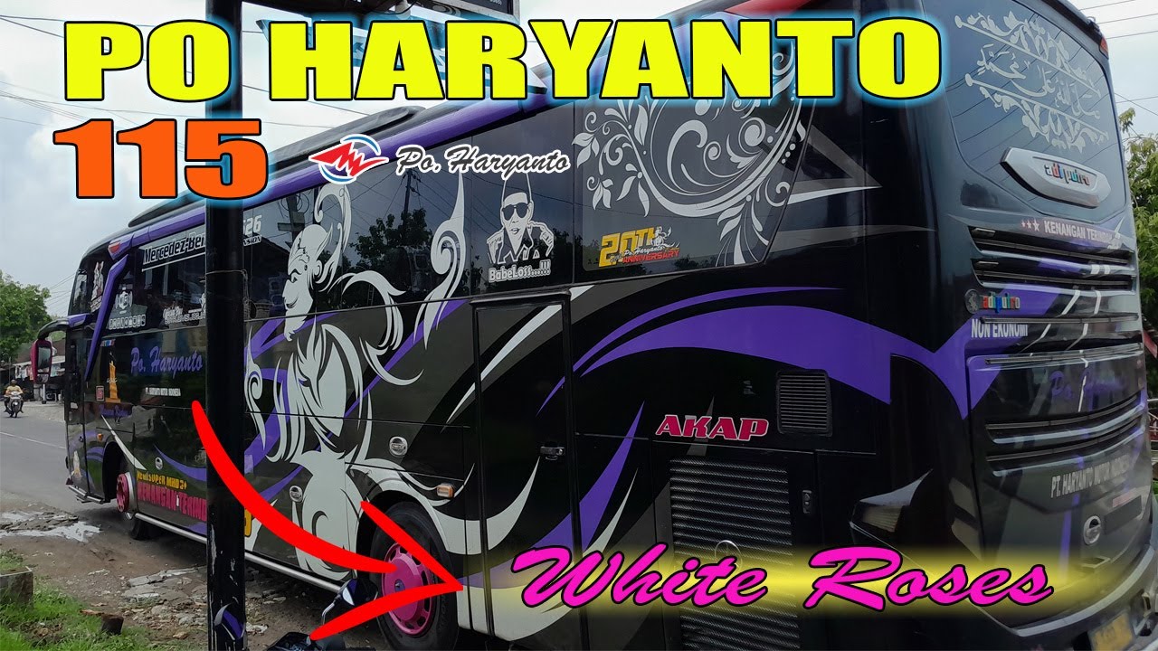 Sapu Bersih Po Haryanto White Roses HR 115 ‼️Report Trip 🏮Tiken ...