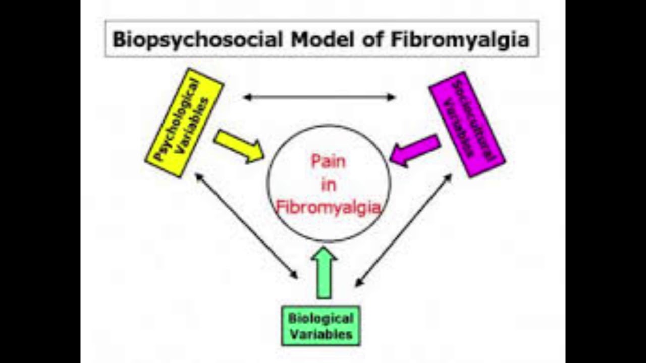 Fibromyalgia Causes - YouTube