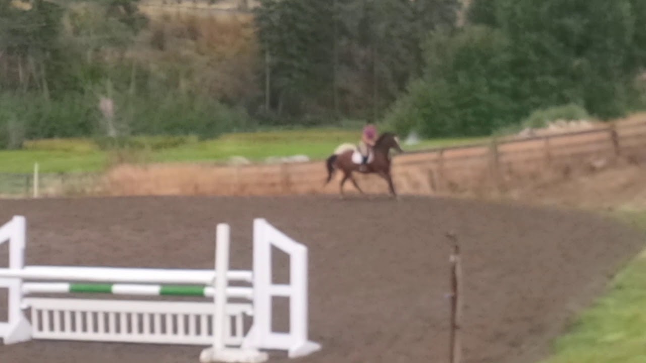 Funk Family Farm Clinic - YouTube