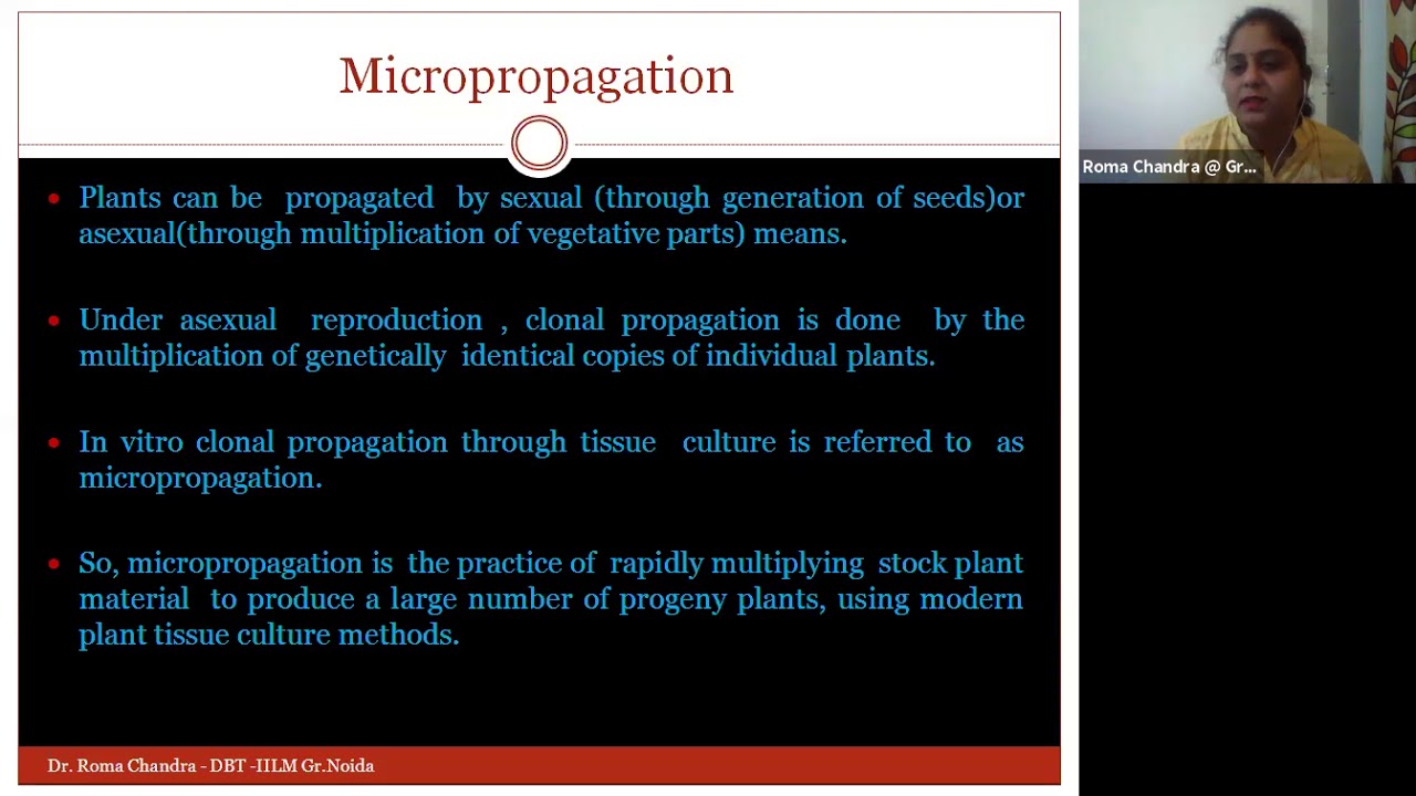 Micropropagation | IILM ENGINEERING - YouTube