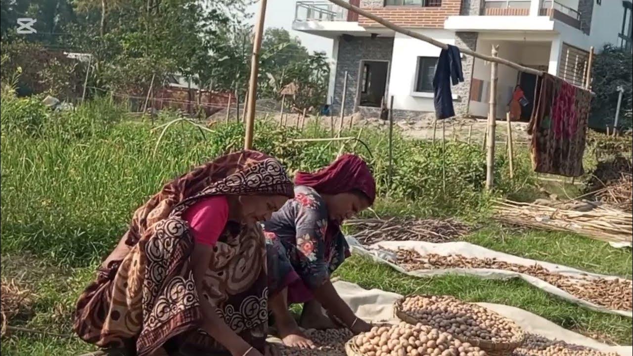 Doyel agro (দোয়েল এগ্রো) ইন্জিনিয়ার সালাম ভাই সম্পর্কে অজানা তথ্য।।doyel agro।।arisha shrabon ...