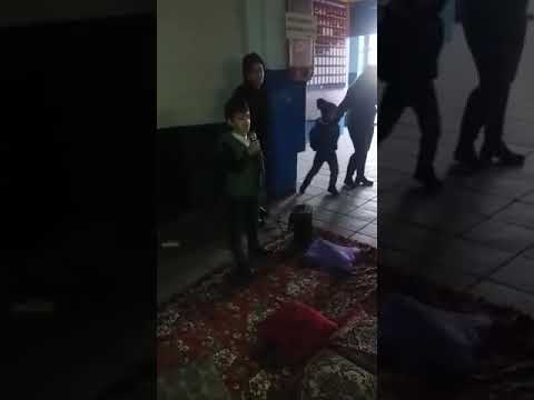 Berde 3 sayli 3 c Xocali faciesi
