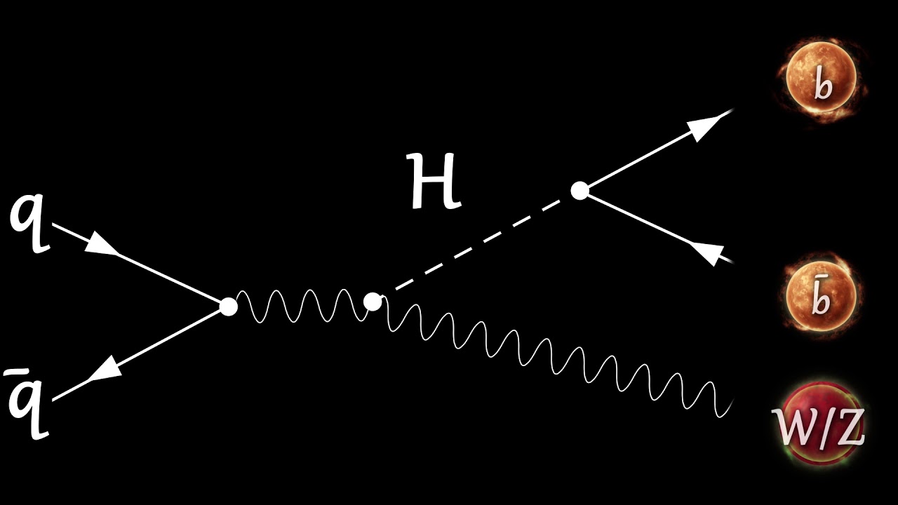 Animation showing the VHbb process - YouTube