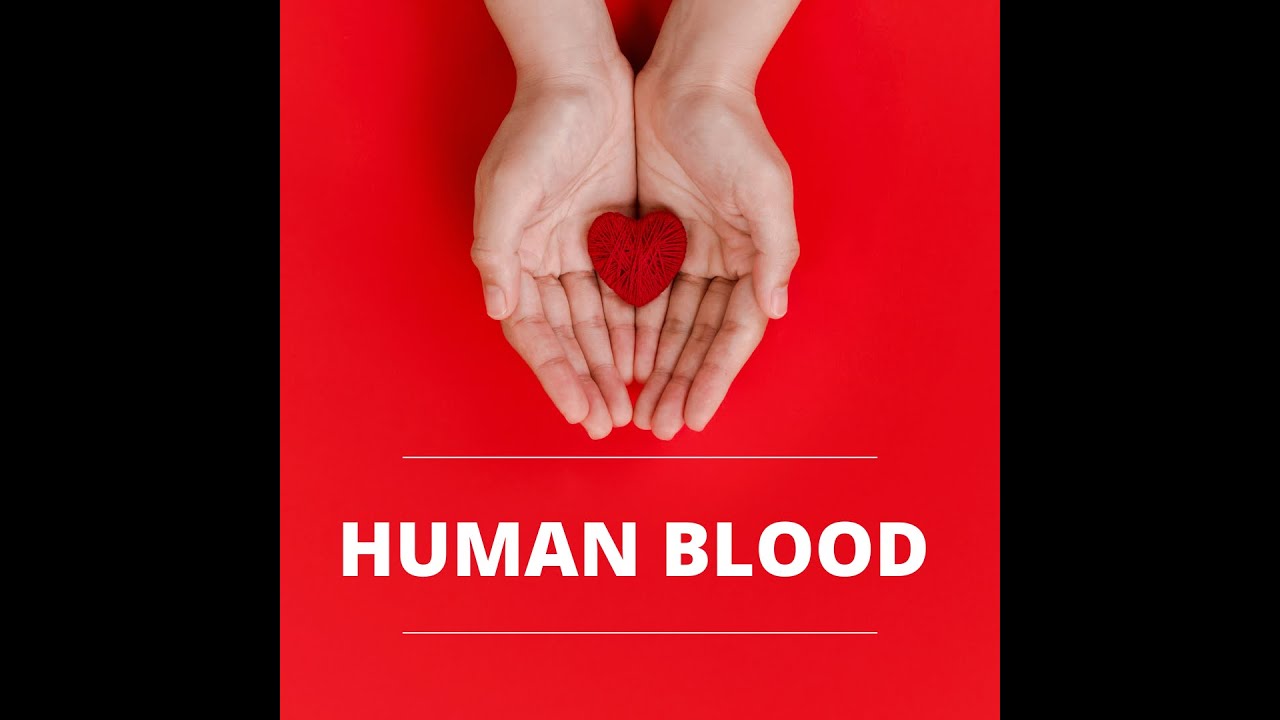 Blood anatomy & physiology || blood and it's components || Properties ...