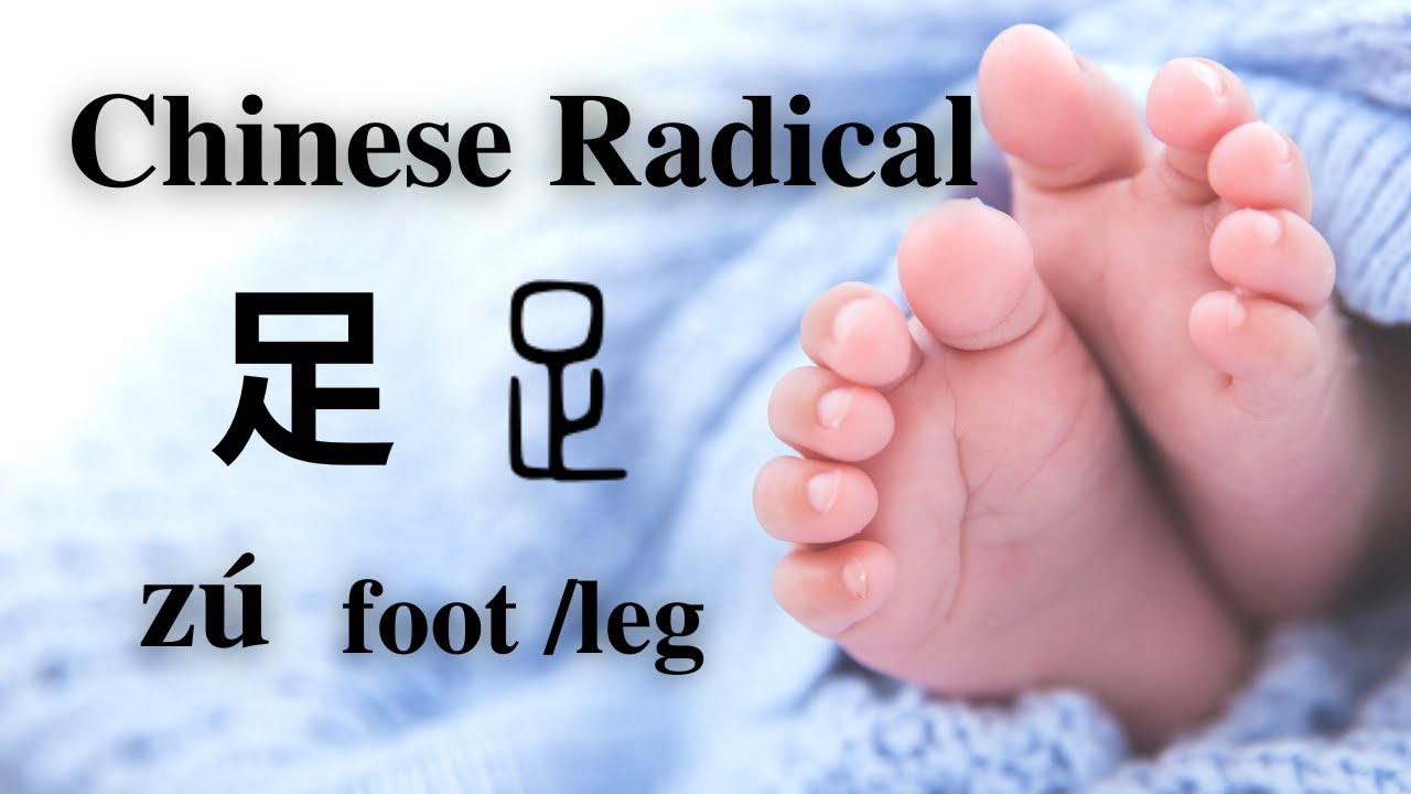 Chinese Radicals - 10 most common foot radical (足 zú) Chinese words ...