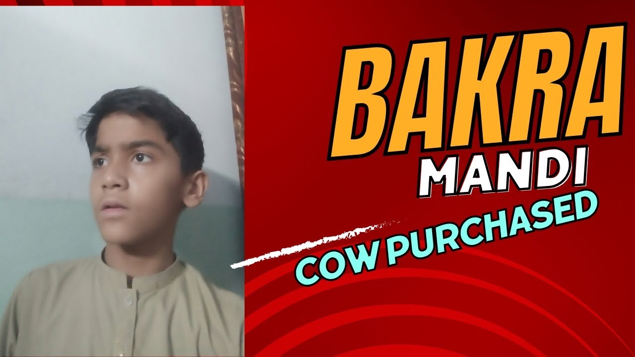 Bhatta Mand pindi biggest mandi.Cow purchased.😂😂😂😂👀👀👀 - YouTube