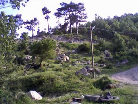 Bursa'nın Yeşil Köyü \