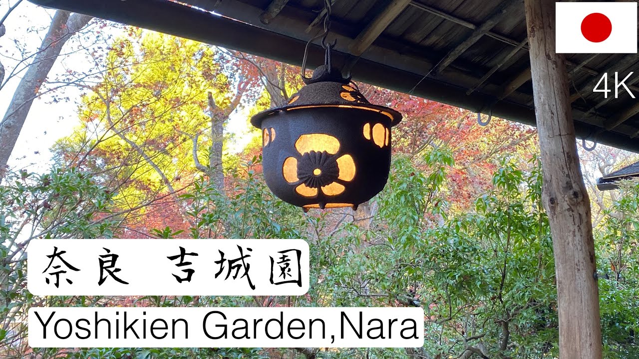 【Japanese garden】Yoshikien, Nara 奈良 吉城園 Beautiful Autumn Colors ...