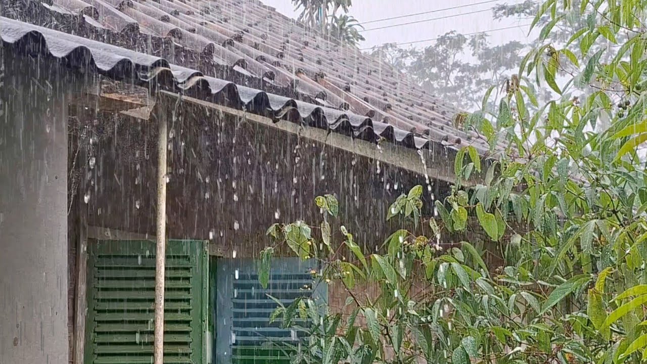 Heavy Rain & Thunderstorm Relax and Fall Asleep Instantly with Heavy ...