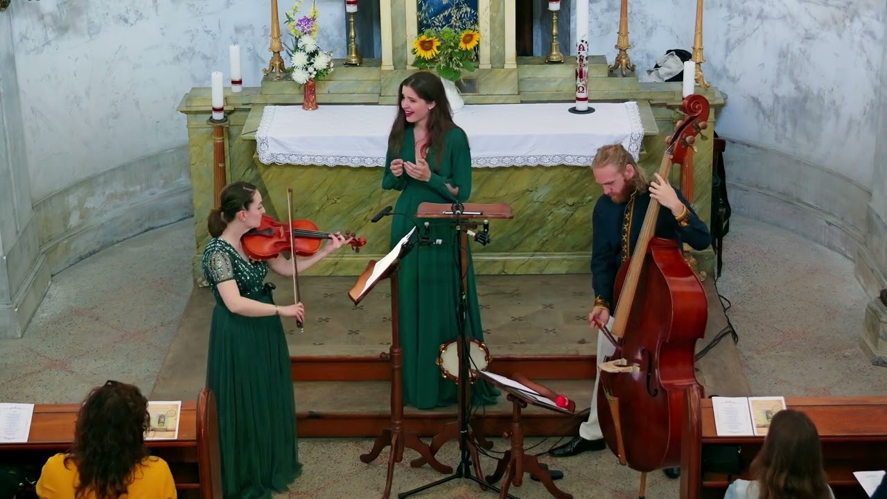 Viennese Tuning Times – Sebastian Brettfeld Double Bass and Violone ...