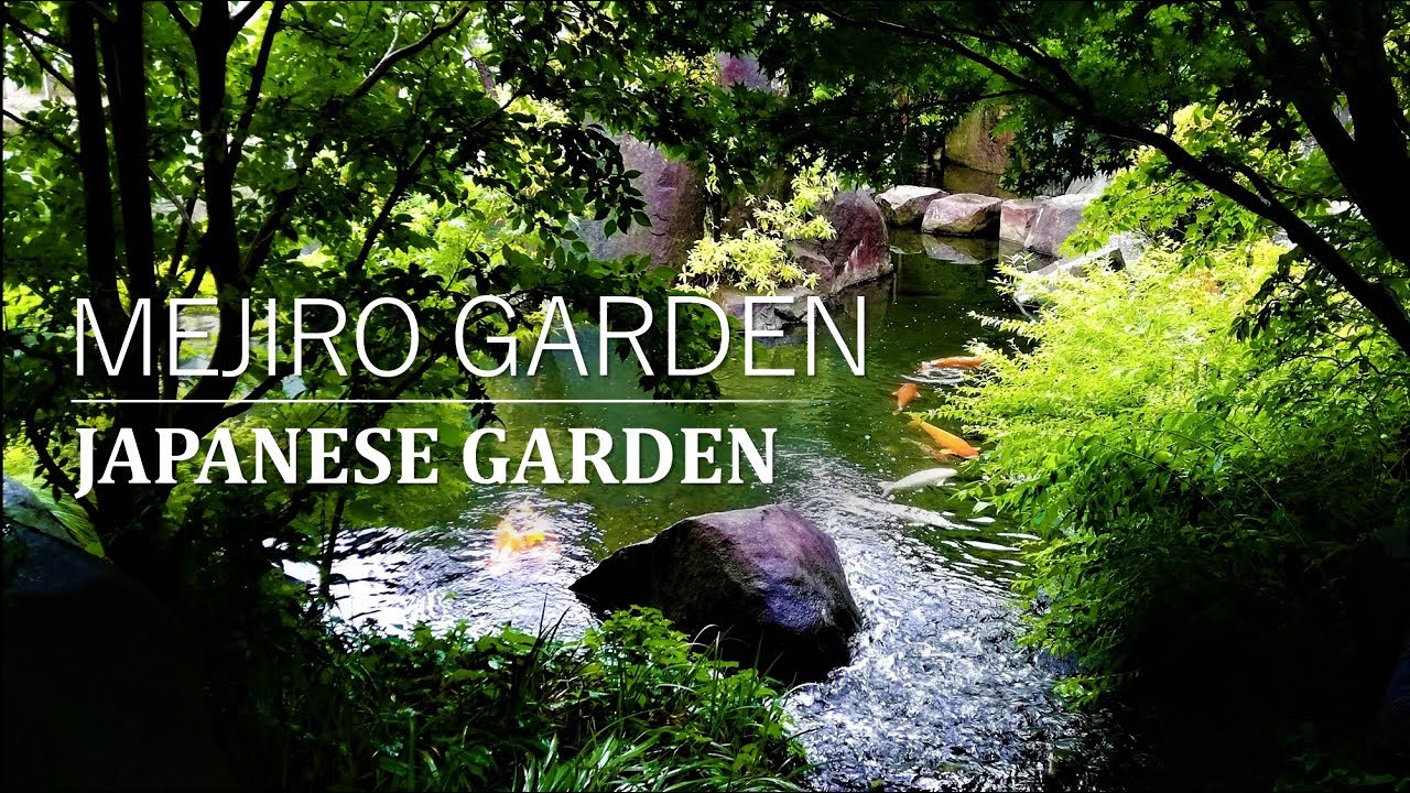 Small Japanese Garden Tour in TOKYO | MEJIRO GARDEN - YouTube