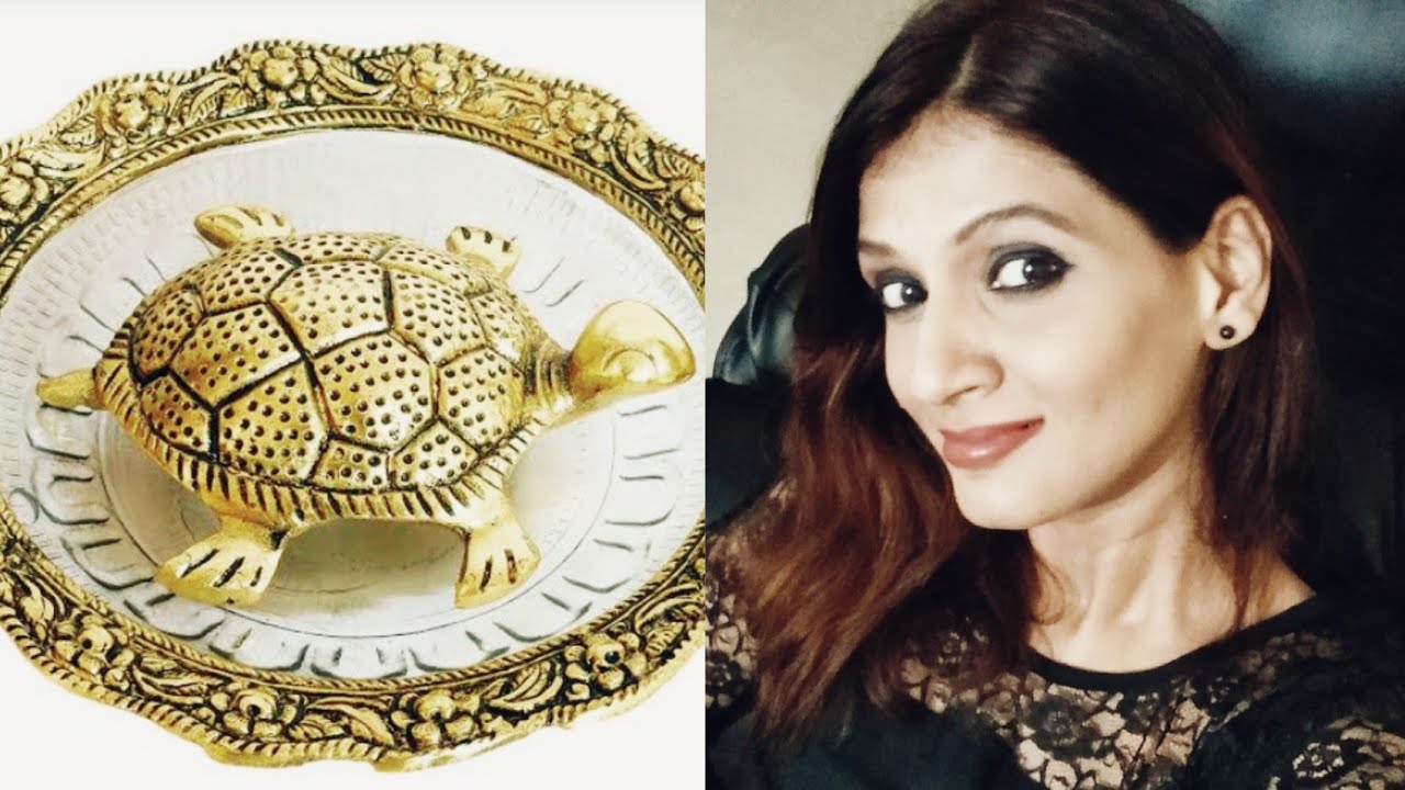 HOW TO PLACE THE TORTOISE - YouTube