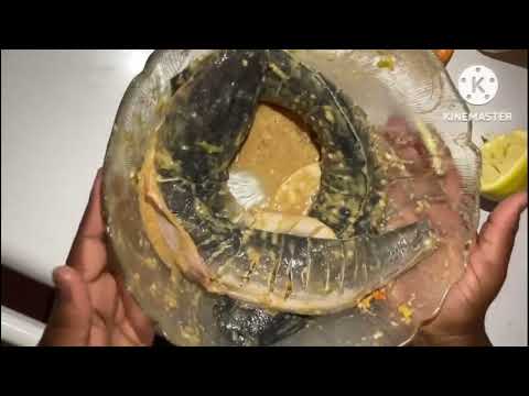 recette : NGOLO kotumba ( POISSON CHAT ) - YouTube