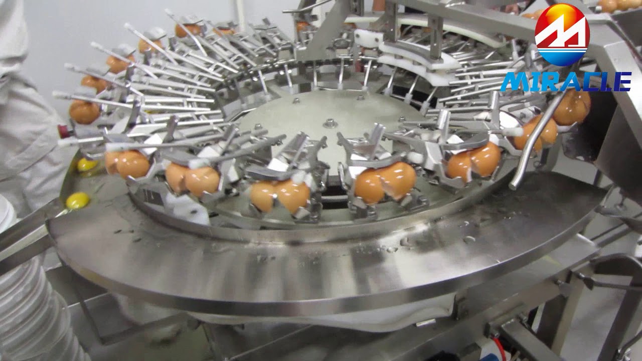 egg breaking and separating machine - YouTube