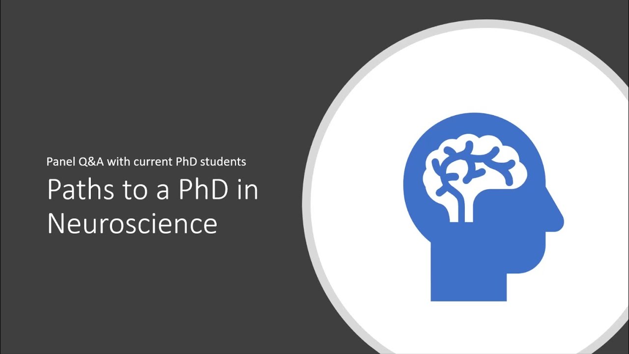 Neurosoc- The paths to a PhD in Neuroscience: Q&A session with current ...