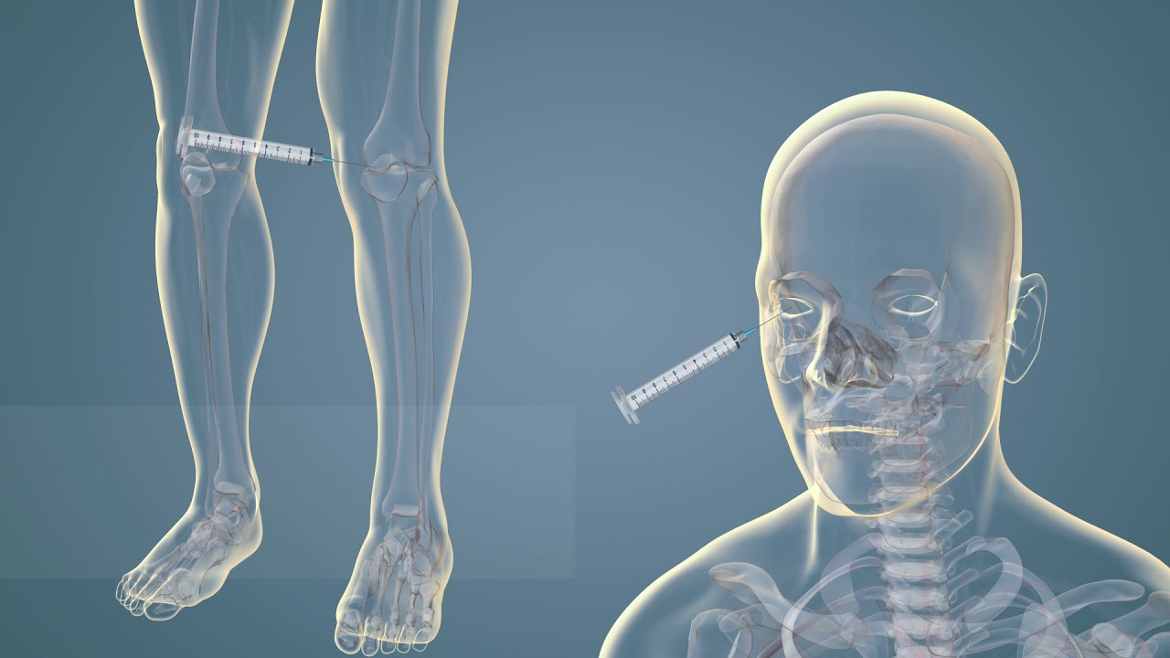 BioSeizer® Sustained Release - YouTube