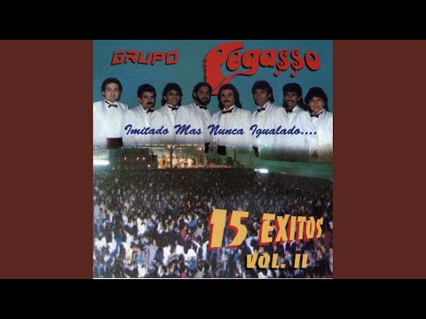 Grupo Pegasso – 15 Exitos (Vinyl) - Discogs