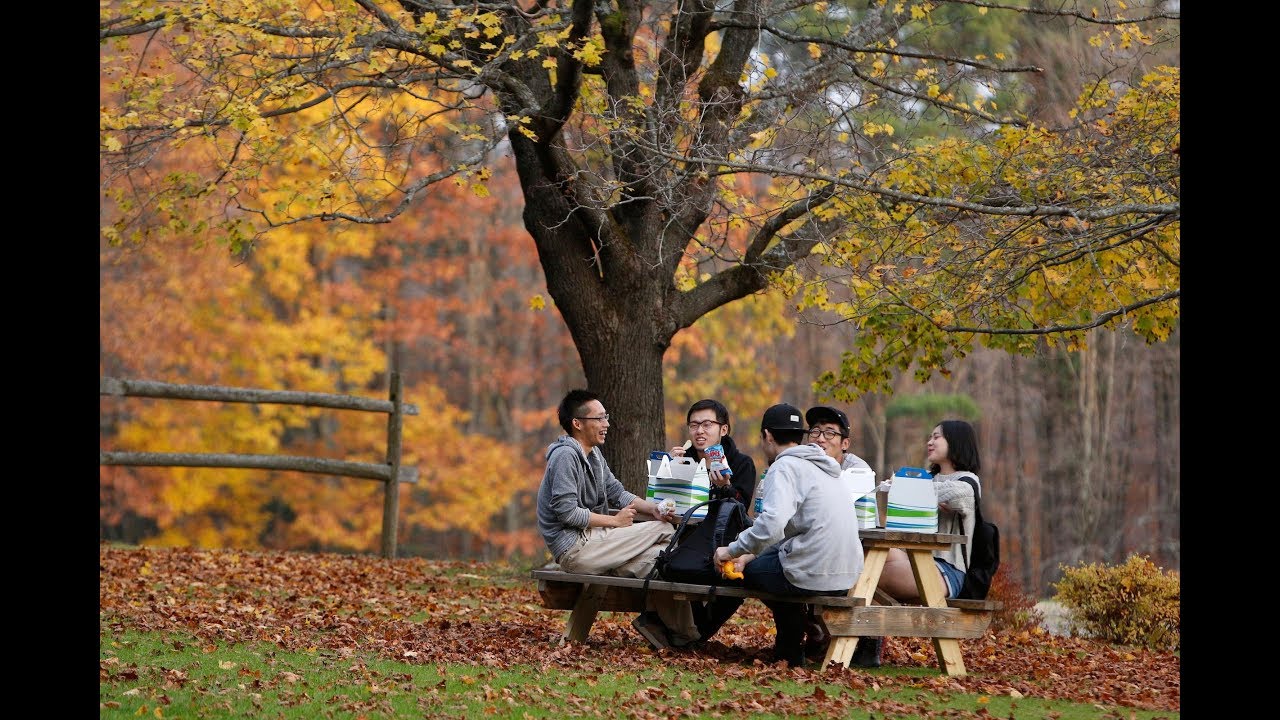 Welcome to SUNY Oneonta: International Students - YouTube
