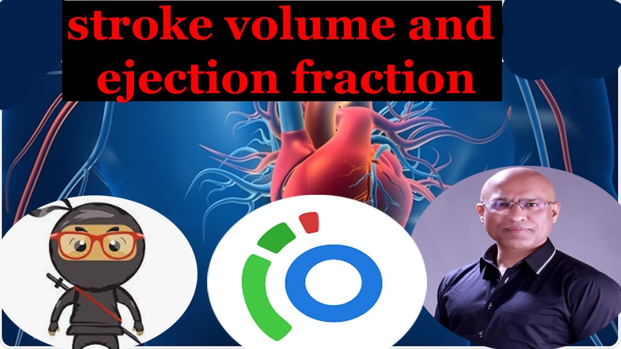 stroke volume ejection fraction What is the difference between EF and ...