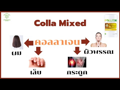 Colla Mixed: งานวิจัยจาก POLLITIN - YouTube