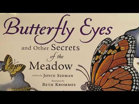 Butterfly Eyes and Other Secrets of the Meadow - YouTube