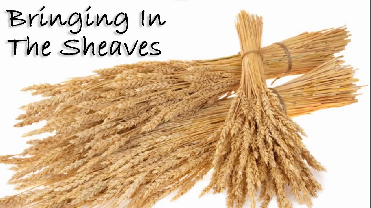 Bringing In The Sheaves -- Instrumental Hymn - YouTube