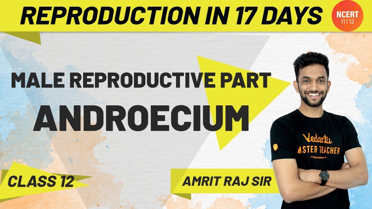 Reproduction In Organism: (L-3) | Male Reproductive Part: Androecium ...