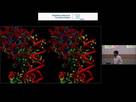 HITS Colloquium: Richard A. Bonneau on Large Scale Machine Learning ...