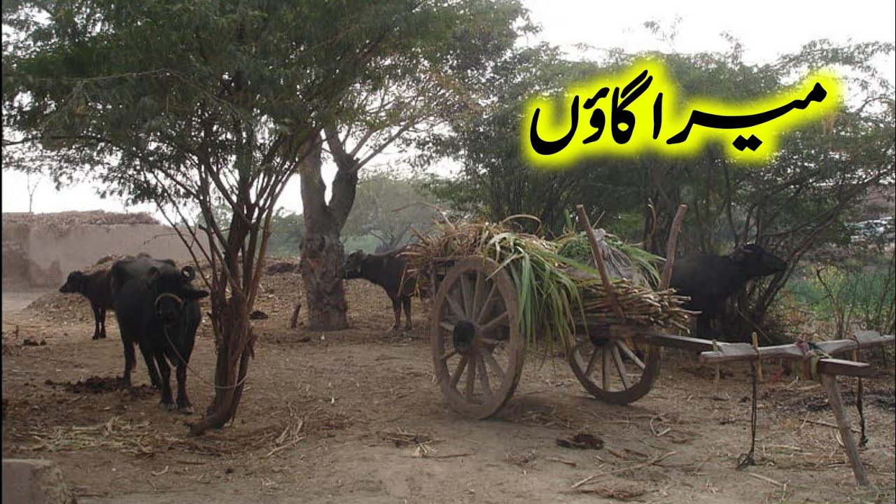 Khubsurat gaon ki sair |Village Life natural scenes | Pakistani rural ...