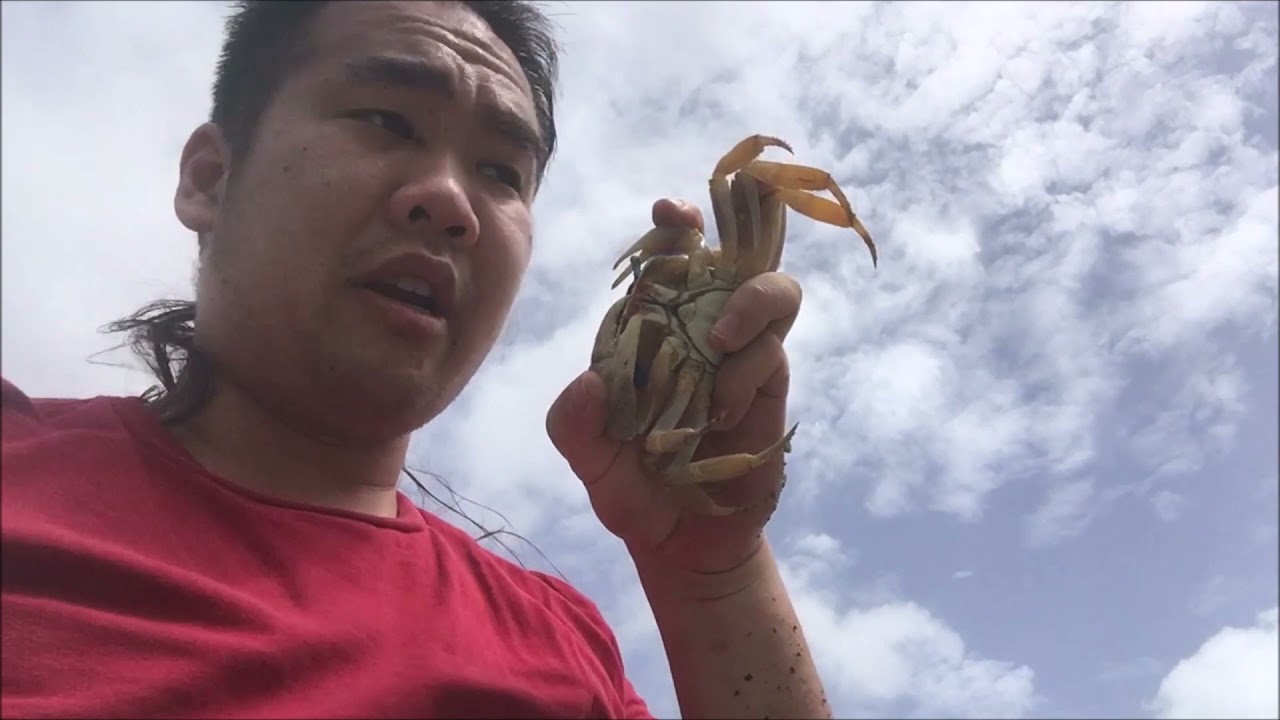 Catching Land Crabs at School - Texas Land Crabs Part 2 - YouTube