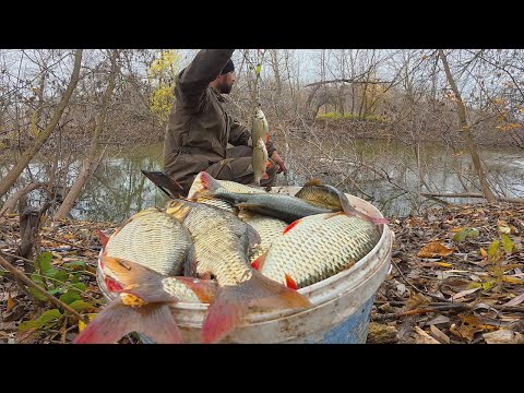 Epic Float Fishing for Big Rudd in November—Insane Bites in Astrakhan!