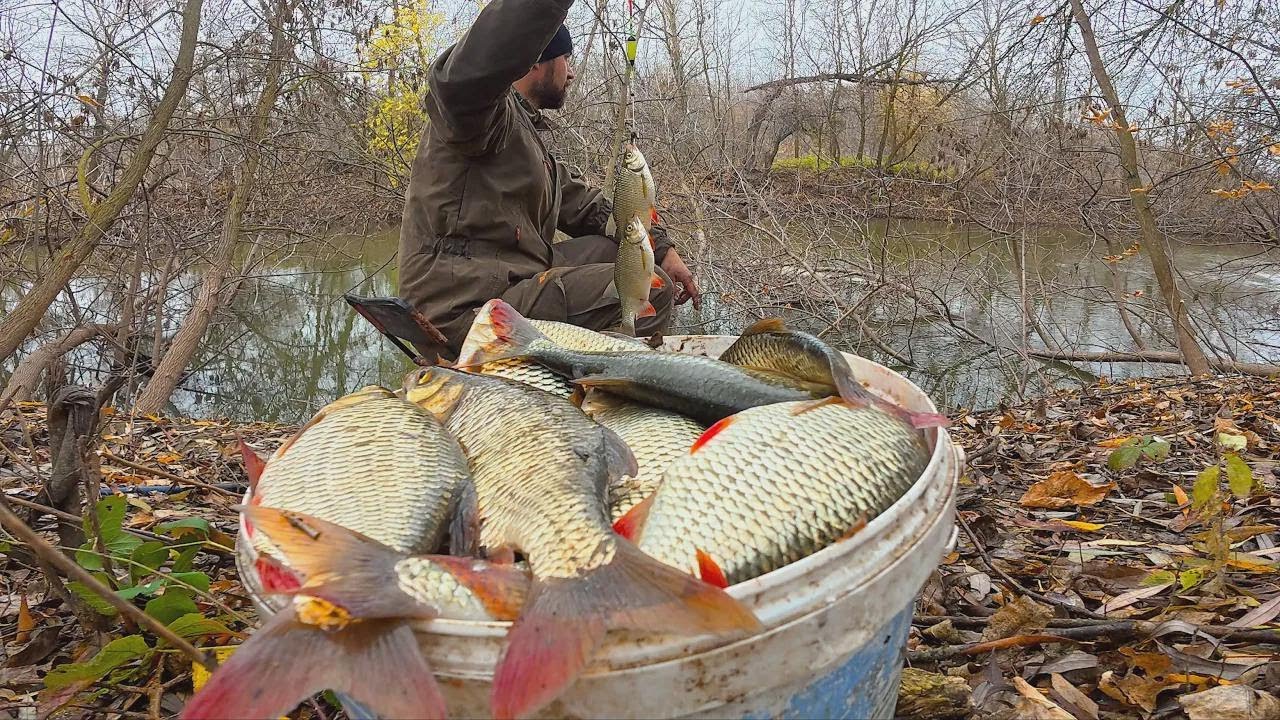 Epic Float Fishing for Big Rudd in November—Insane Bites in Astrakhan ...