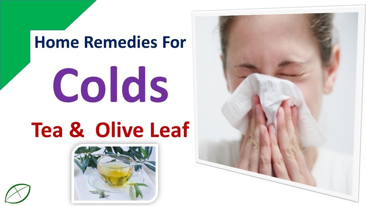 Home Remedies For Colds | Stop Cold With Tea & Olive Leaf - YouTube