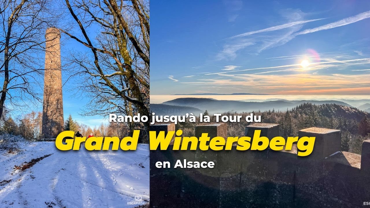 🥾 Rando hivernale au Grand Wintersberg en Alsace - YouTube
