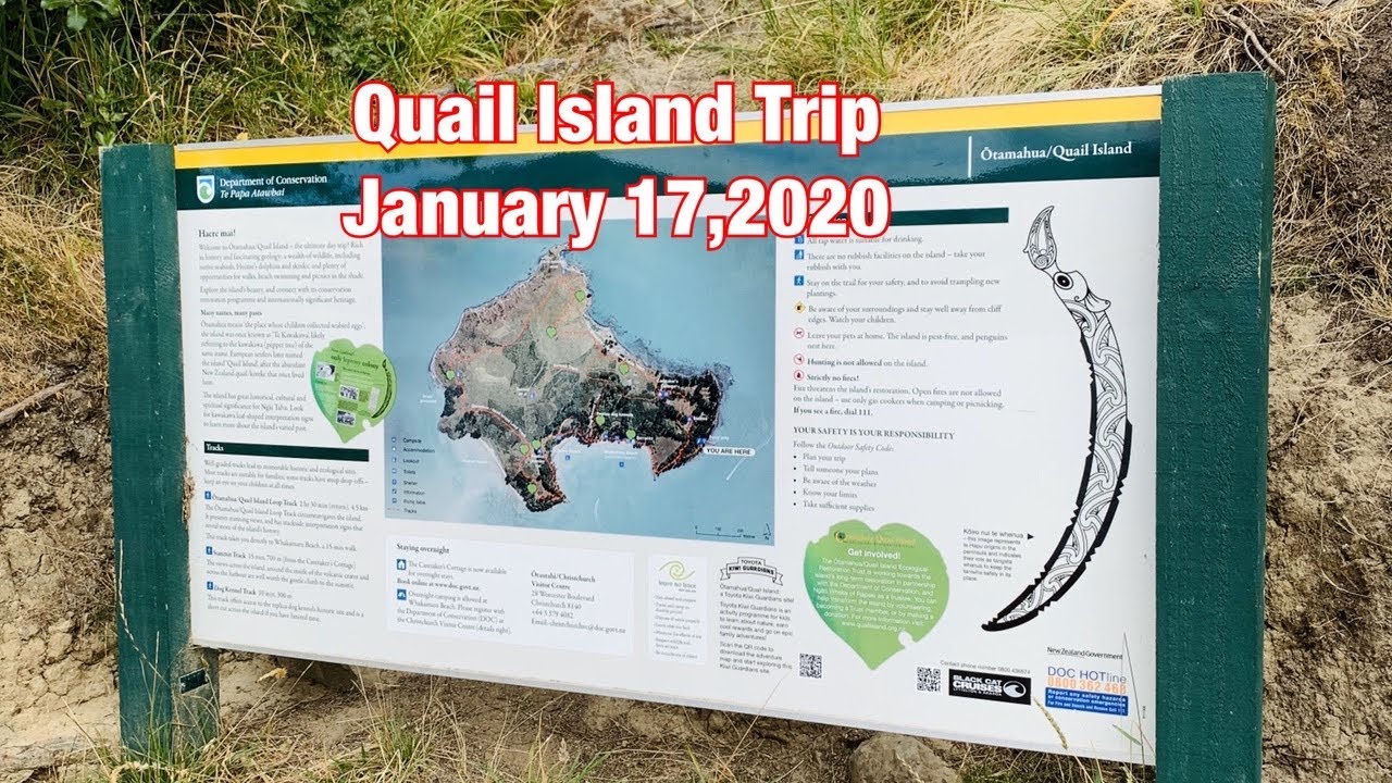 Quail Island Trip - YouTube