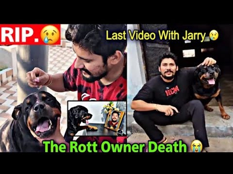 The Rott Owner Rajveer Choudhary Last Video With Jarry emotional dog ...