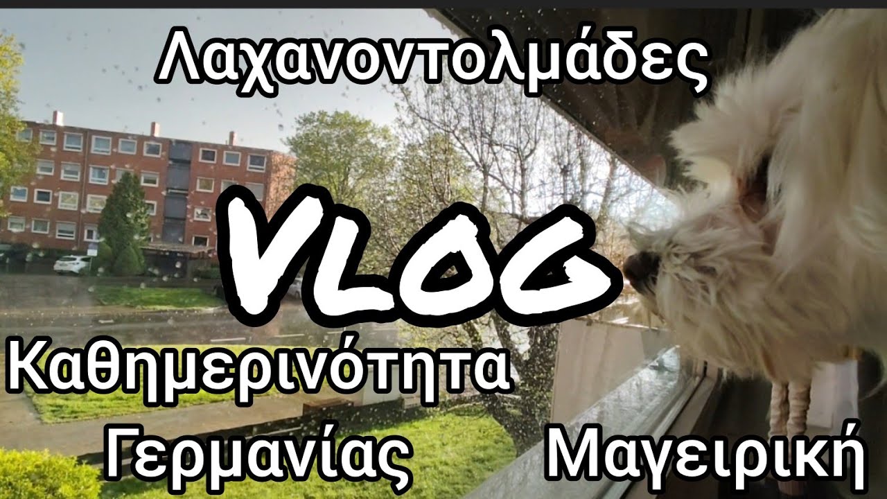 #Vlogaki#λαχανοντολμαδες#καθημερινότητα#Γερμανιας#immigrants#germany ...