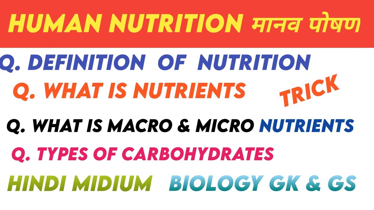 HUMAN Nutrition CLASS 11TH | Biology class 11th Human nutrition | (मानव ...