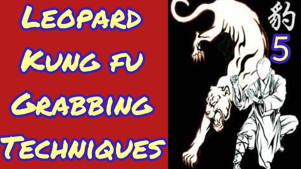 Leopard Kung Fu Techniques