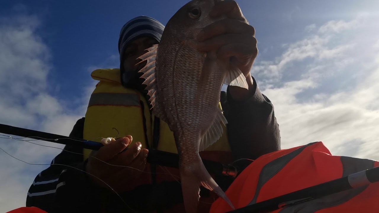 Kayak fishing (snapper) - YouTube