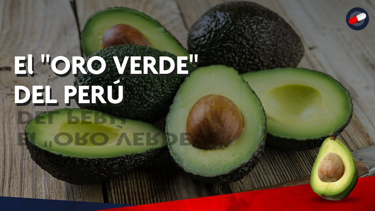 🥑El ORO VERDE DEL PERÚ - YouTube